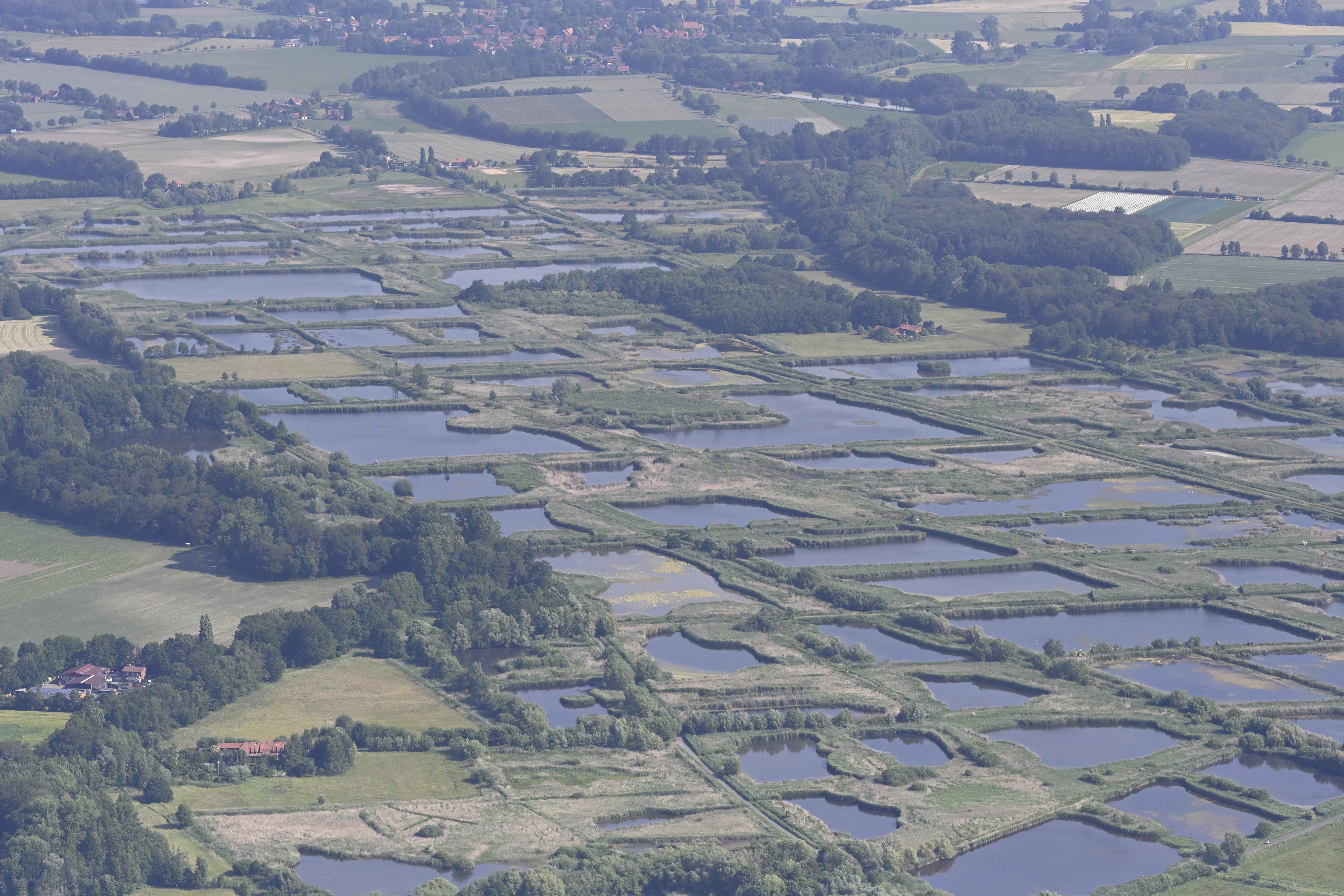 Das Gebiet – Biologische Station
